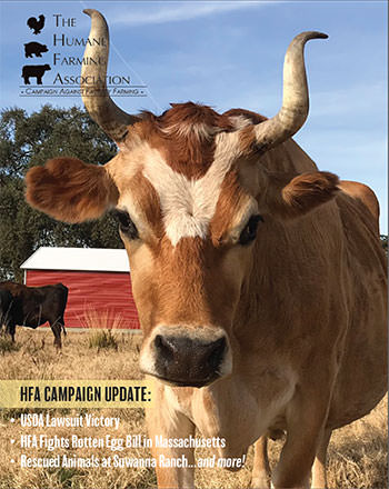 HFA - The Humane Farming Association - Newsletter